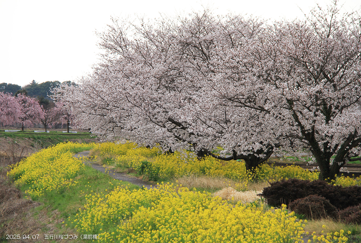 2025/04/07